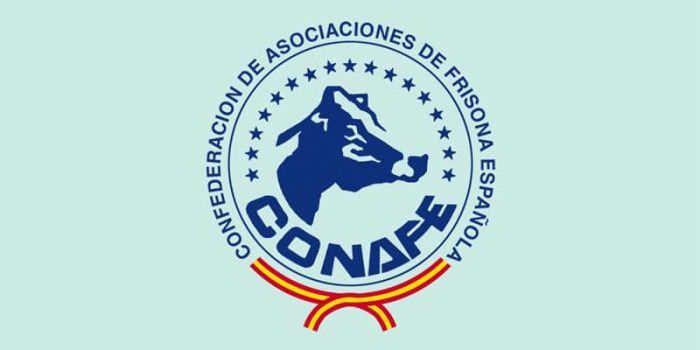 conafe logo azul - RFEAGAS