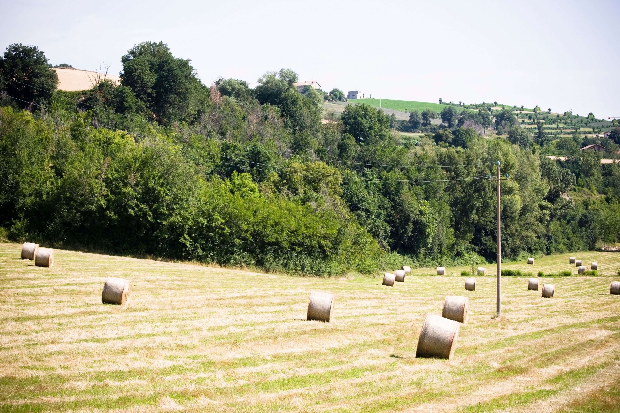 CyL financiará 98 proyectos en el medio rural a través de LEADER