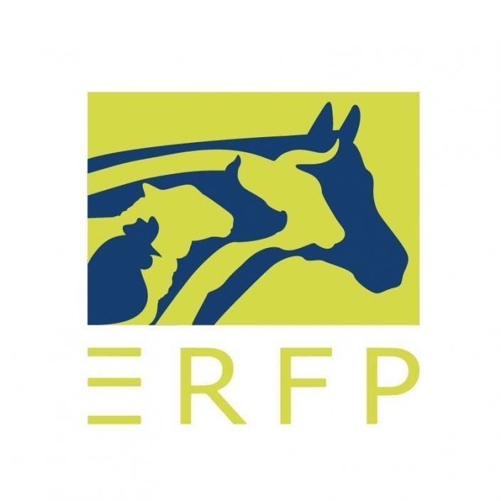erfp logo - RFEAGAS