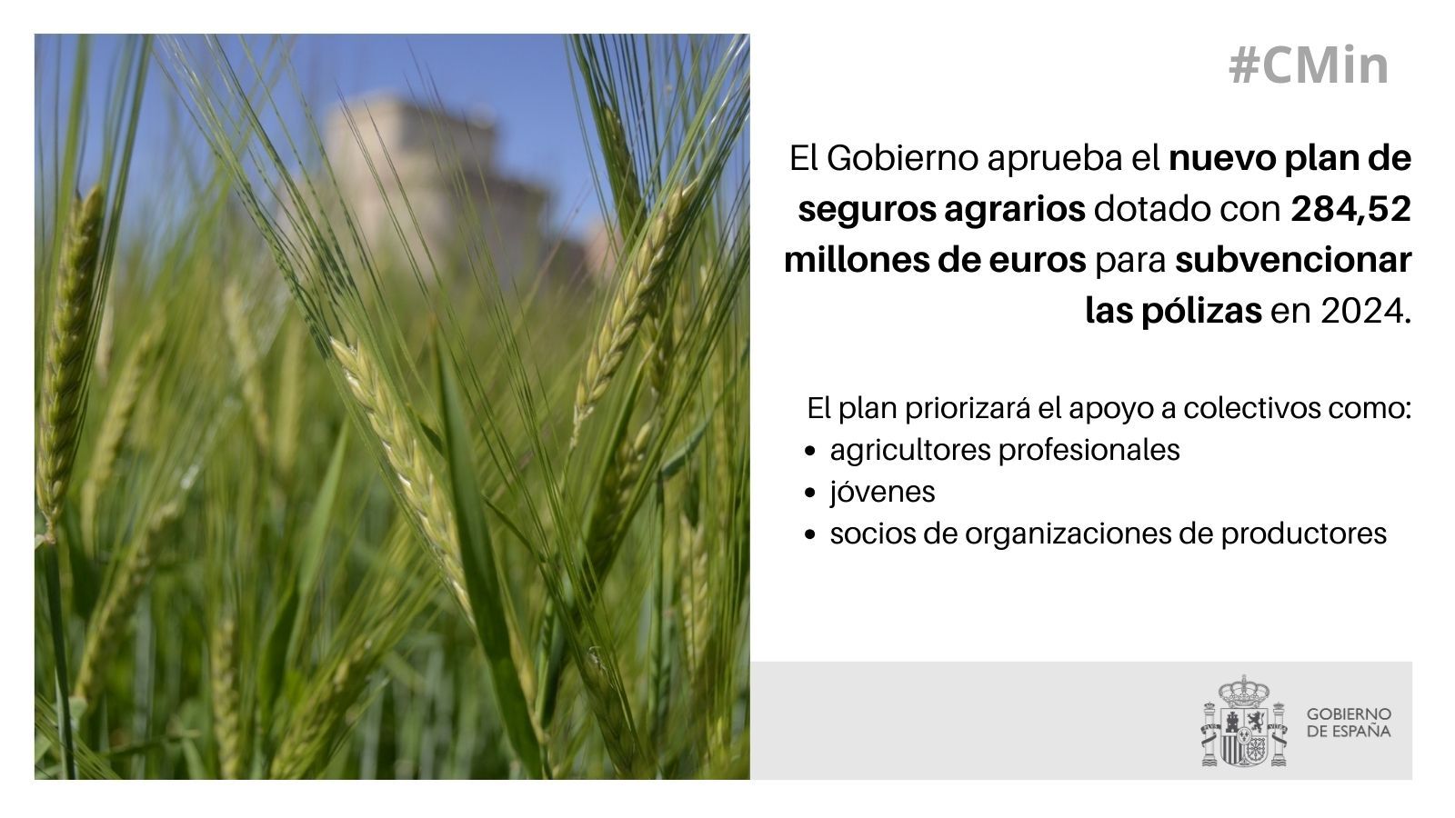 Aprobado el nuevo plan de seguros agrarios